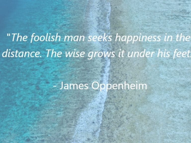 66 Quotes About Materialism And Happiness