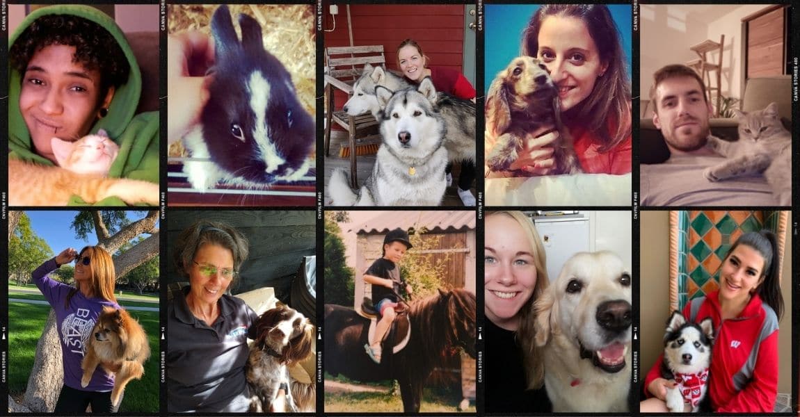 The Happiness of Pet Owners: New Study Reveals the Happiest Pet Owners